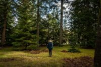 Photography (BFA) | College for Creative Studies