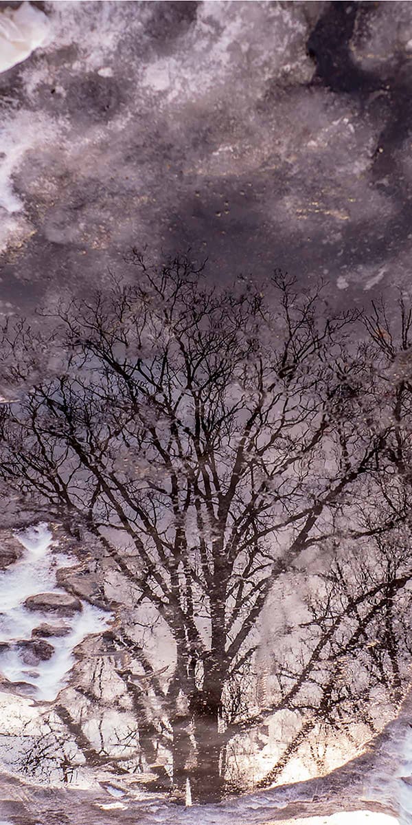 feldman11 | College for Creative Studies