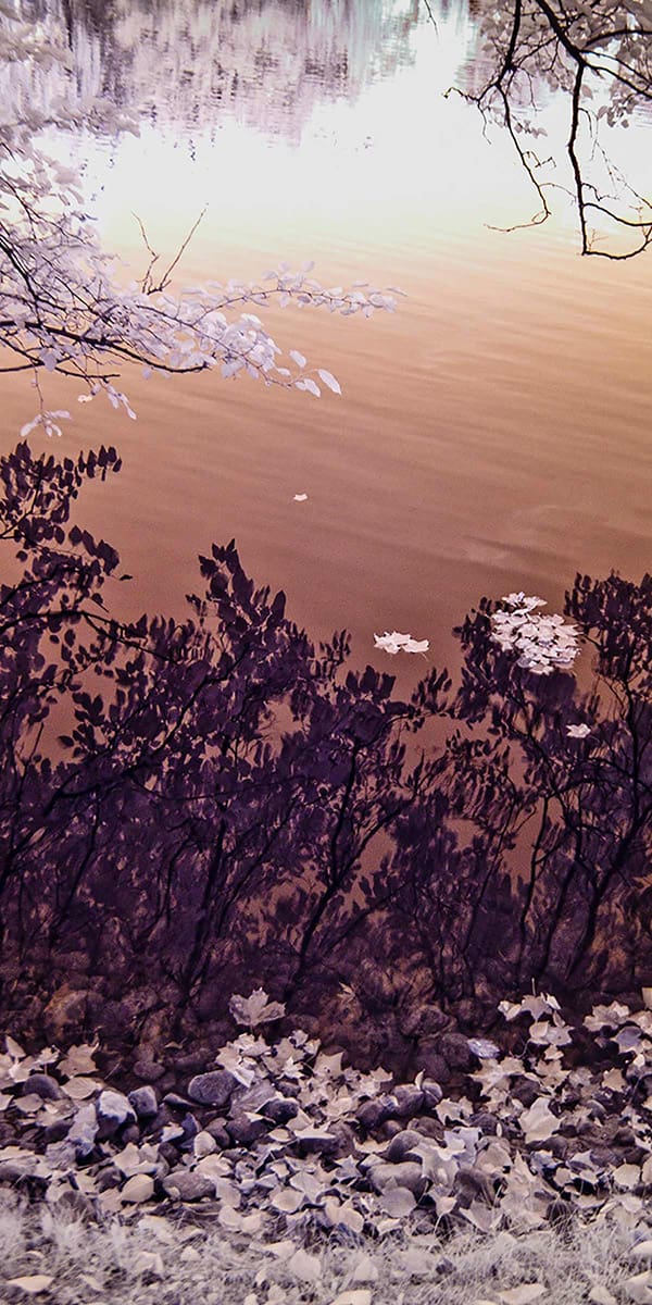 feldman7 | College for Creative Studies