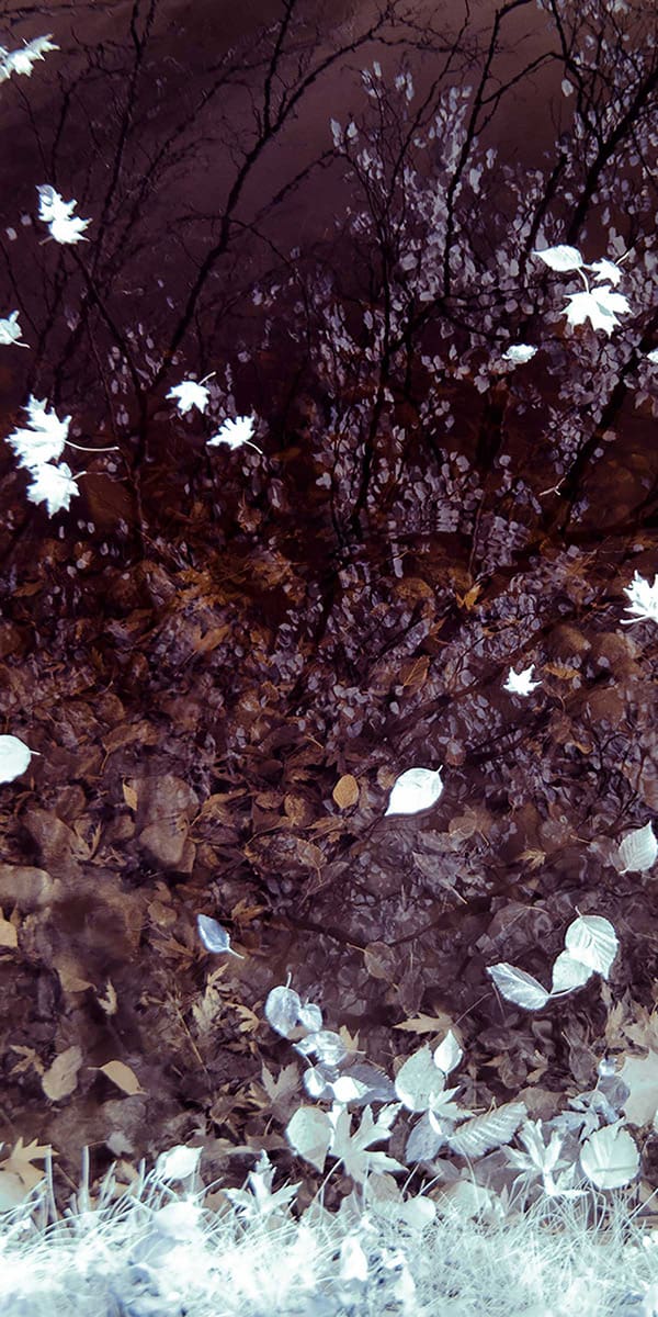 feldman8 | College for Creative Studies